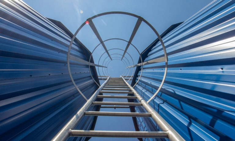 Cat Ladder - A Decor